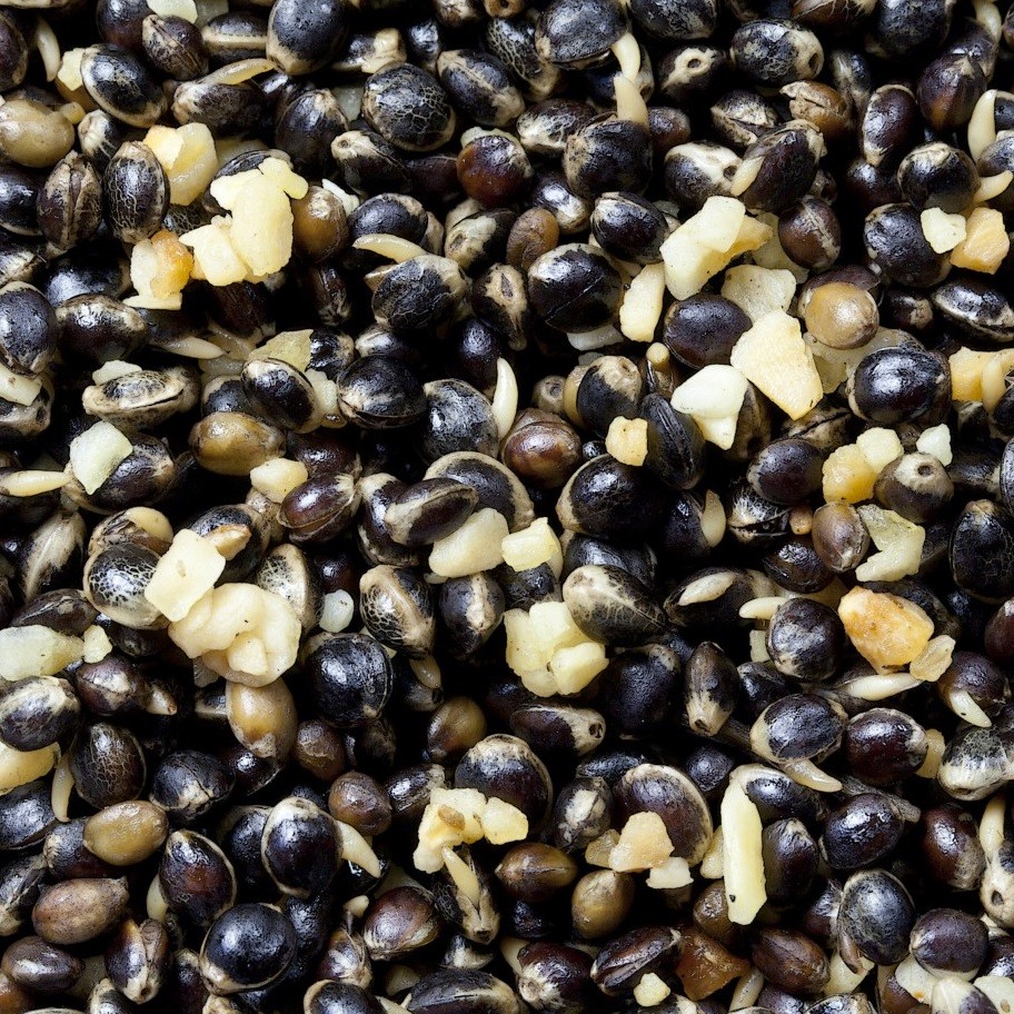 Wędka Sonik karpiowa Gravity Carp Rod AC0114 - wedkarski.com